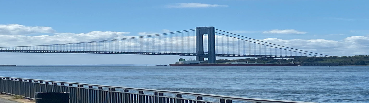 Brooklyn Community Board 10 – Brooklyn Community Board 10