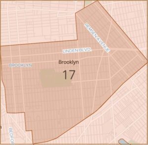 Maps & Stats – Brooklyn Community Board 17